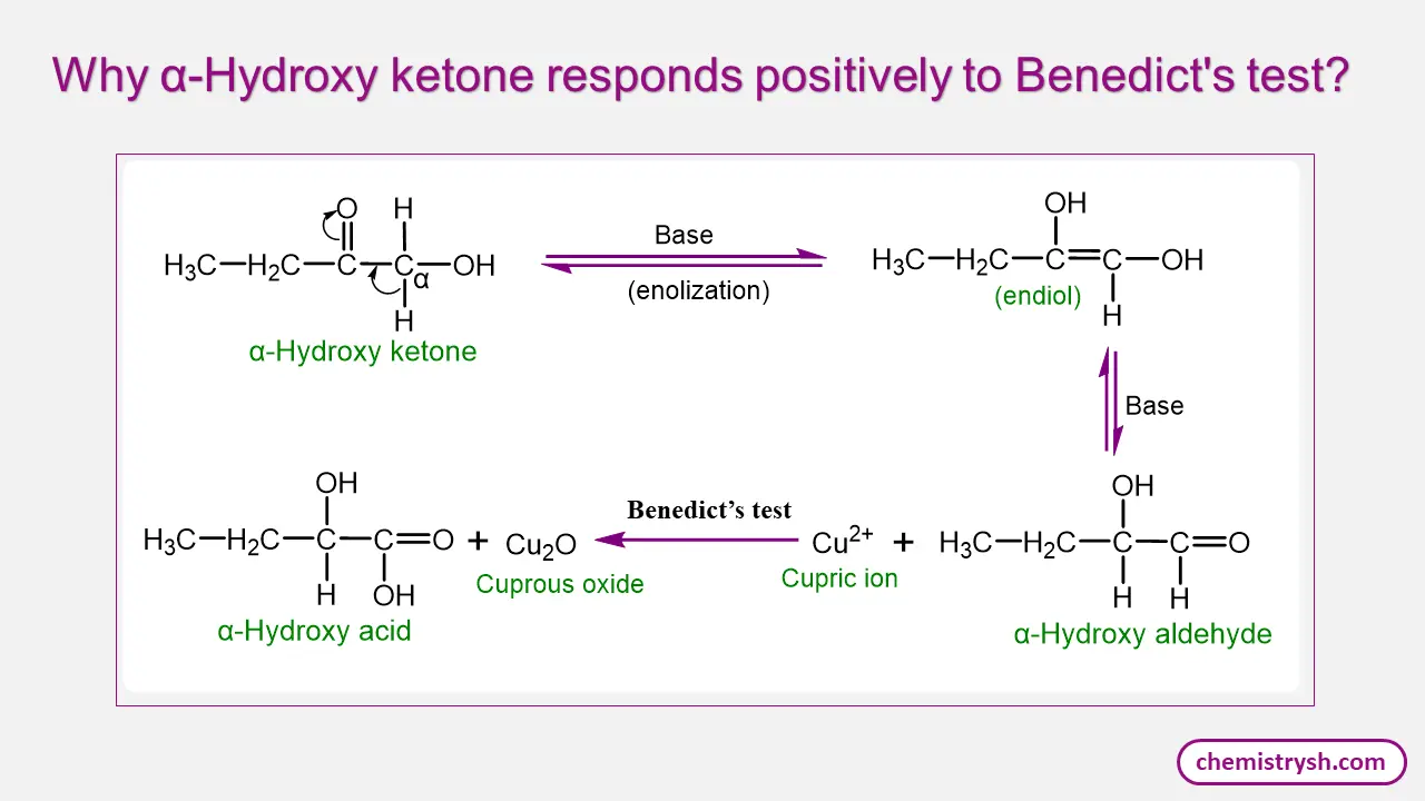 Benedict Test for reducing sugars: Principle, Procedure