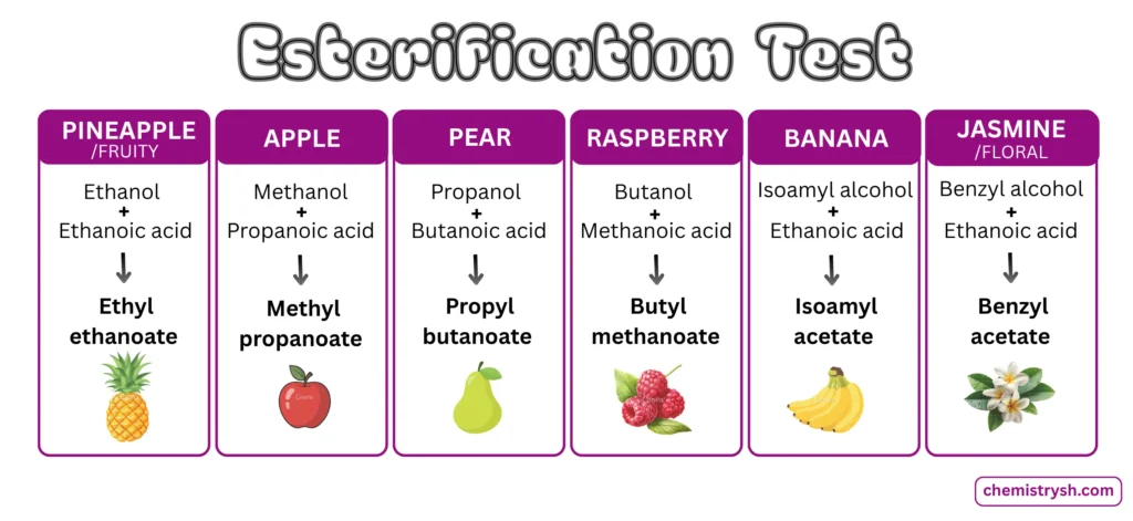 Esterification Reaction:Mechanism, Process & Test Guide 2026